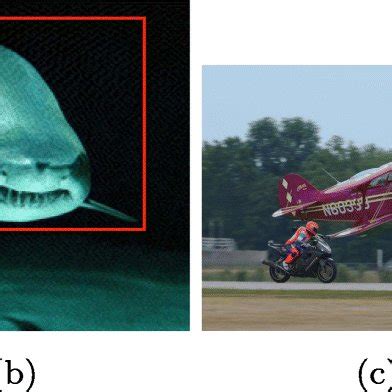 Input Examples And Their Annotations In Image Classifications A B Download Scientific
