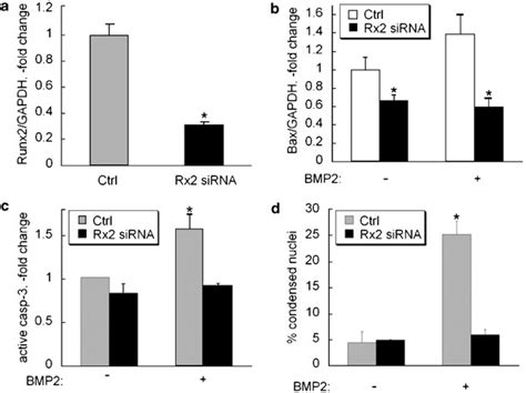 Runx2 Mediated Activation Of The Bax Gene Increases Osteosarcoma Cell Runx2 Mediated Activation Of The Bax Gene Increases Osteosarcoma Cell