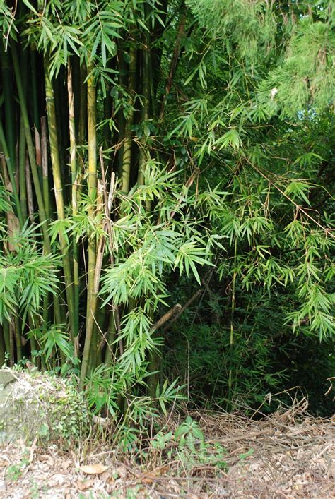 Dsc0749 Pascal P Flickr