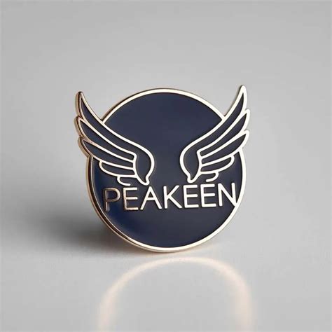 Custom Pilot Wings Pin Top Manufacturer Of Promotional Ts Peakeen