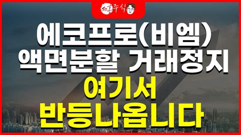 에코프로비엠 액면분할 거래정지 여기서 반등나옵니다 Youtube
