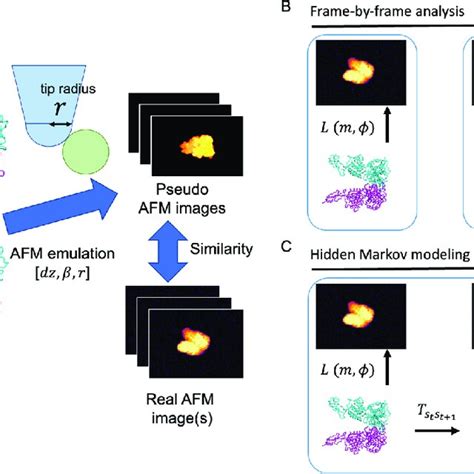 Scheme Of Analysis On Atomic Force Microscopy Images A Computation