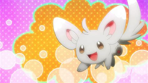 Minccino by Mdwyer5 on DeviantArt