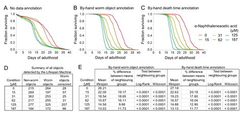 Lifespan Machine을 사용한 High Throughput Behavioral Aging And Lifespan Assay
