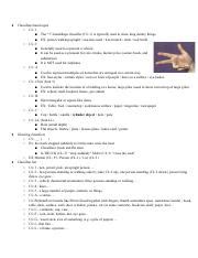 Understanding ASL Classifiers A Comprehensive Guide Course Hero