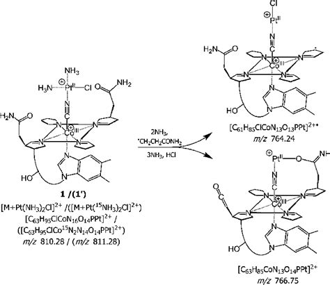 Scheme 1 Fragmentation Pathways Proposed To Explain The Generation Of