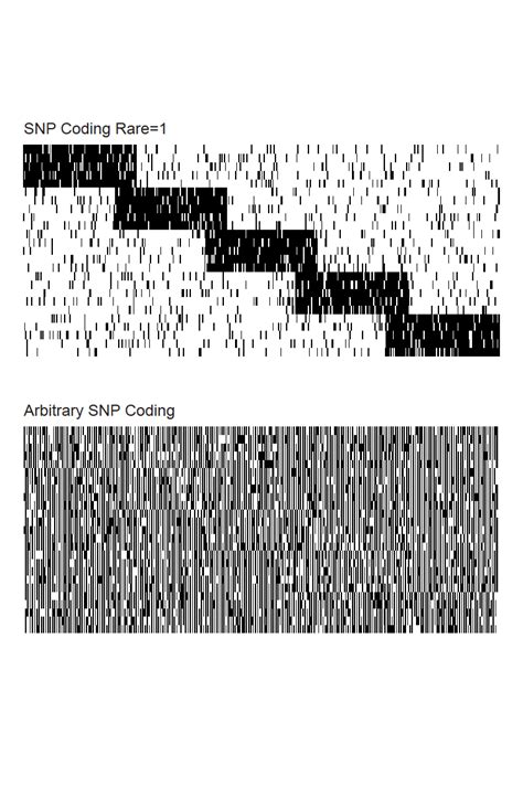 constructed snp datasets with snp coding rare 1 top and arbitrary snp