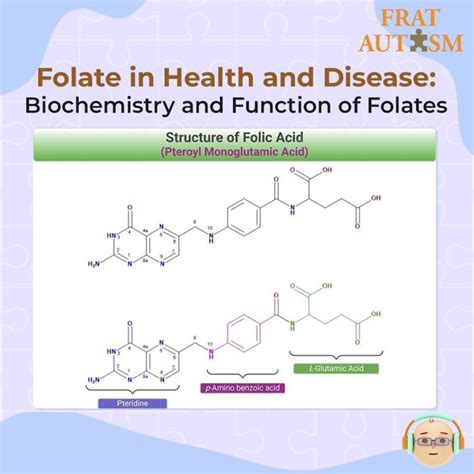 Video Frat Autism On Linkedin Folate In Health And Disease