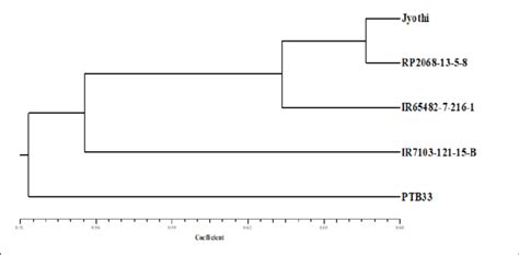 cluster diagram using the upgma method showing the relationship among
