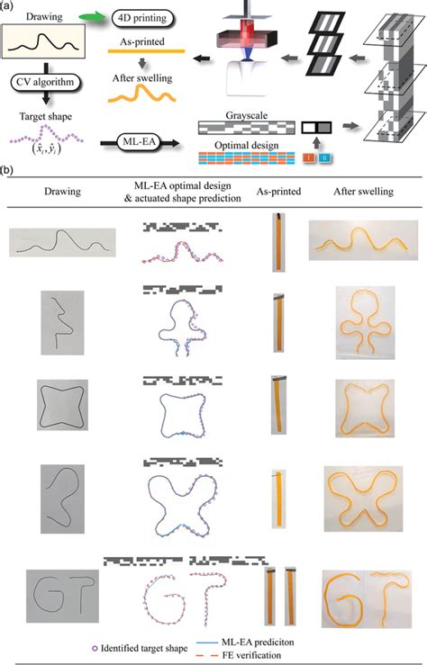 Integrating CV With MLEA To Streamline The Design And Fabrication A Download Scientific