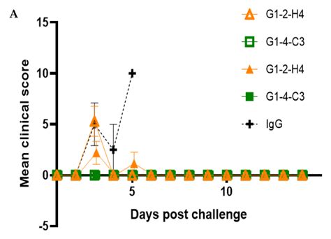 Evaluation Of Anti Eeev Nab Efficacy In A Pre Exposure Prophylaxis