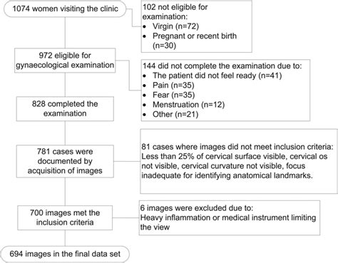 Flowchart Showing Inclusion Of Images Download Scientific Diagram