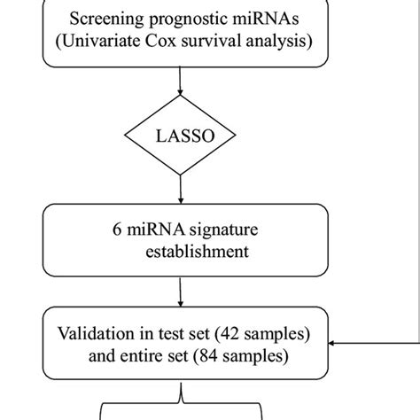 Flow Chart Of Data Preparation Processing Analysis And Validation In
