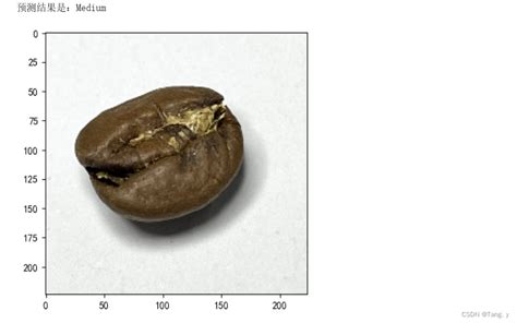 基于pytorch的咖啡豆识别 Csdn博客
