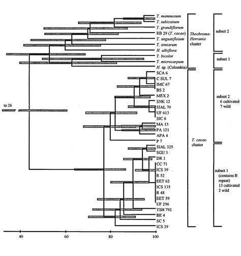phenogram generated using upgma clustering demonstrating relationships