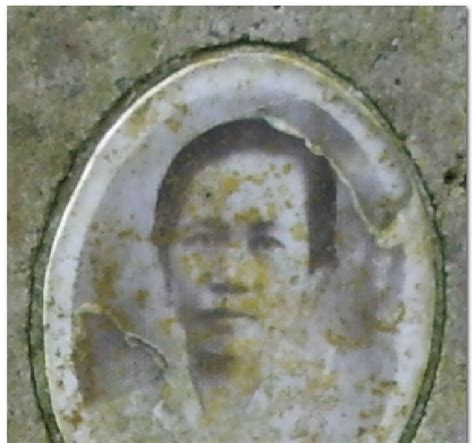 Madam Lim Cheng Neo Nee Mrs Sim Ann Watt Bukit Brown