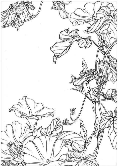 Раскраски Лиана 70 фото