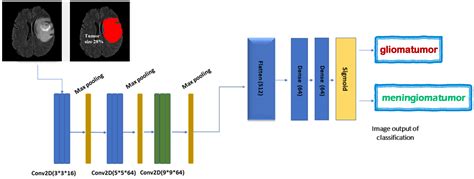 computers free full text brain pathology classification of mr
