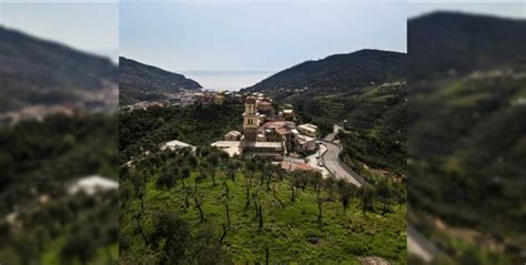 Coltivazione E Tradizione Della Raccolta Delle Olive L Arte Delle Reti E Dei Terrazzamenti A