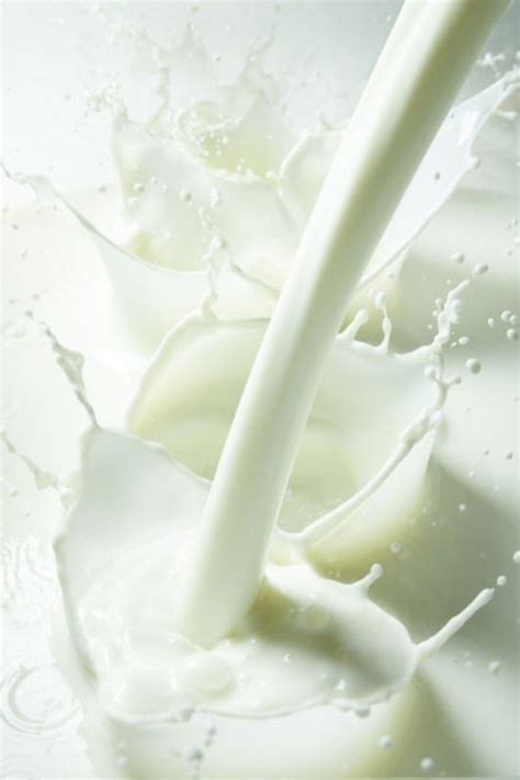 Pasteurized Milk Manufacturer Exporter Supplier From Delhi India