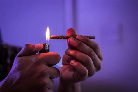 A Guide On Perfectly Sealing Your Hemp Wrap Blunt Cones And Things To