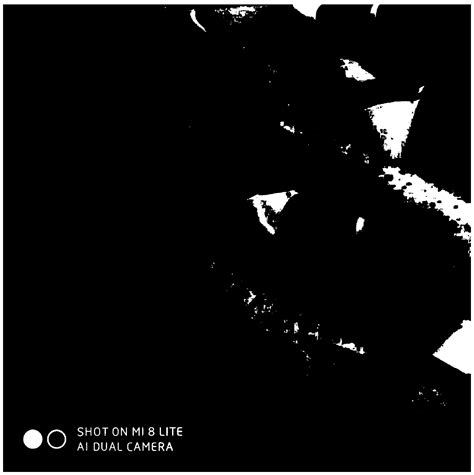 Traditional Chinese Medicine Composition For Removing Anaphylactoid Purpura Eureka Patsnap