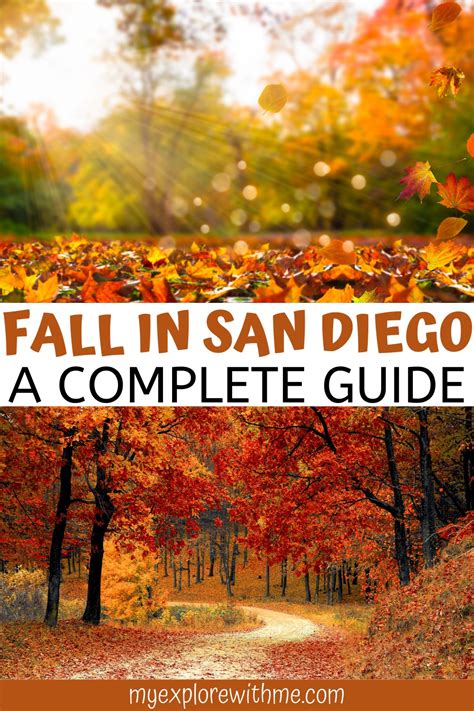 10 Best Fall In San Diego Events Chelsey Explores Outdoor Adventure