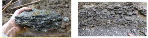 Mylonite Excavated In South Left And North Right Shaft Download