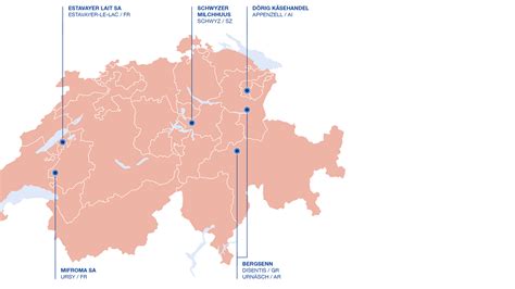 Elsa Group En Quelques Lignes Groupe Migros Jobs