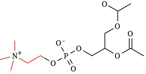 Glycerophospholipid Bartleby