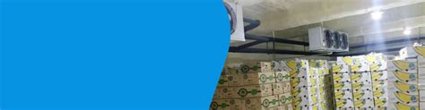 Your One Stop Banana Cold Storage Equipment Supplier Miracle