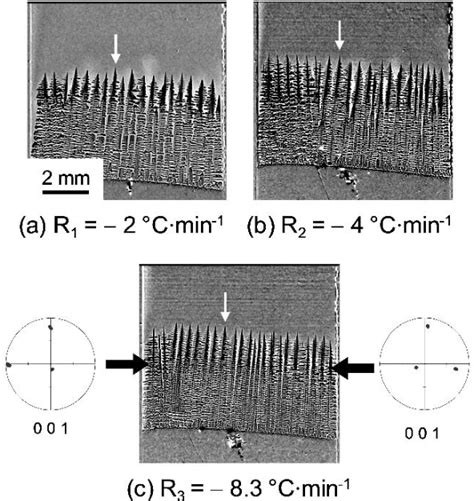 Figure 2 From Impact Of Solute Flow During Directional Solidification