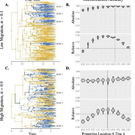 Reconstruction Accuracy Depends On Sampling Bias And Migration Rate Download Scientific