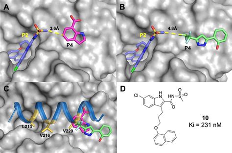 Ternary X Ray Co Crystal Structures A Fragment 2 Bound To Mcl 1 In Download Scientific