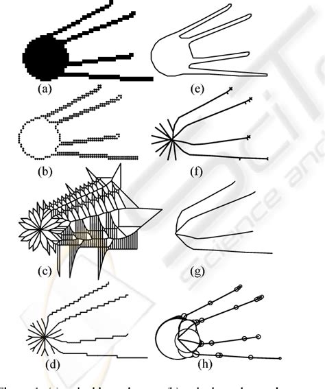 figure 1 from binary image skeleton continuous approach semantic