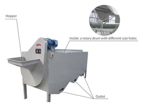 Best Raw Cashew Grading Machine Cashew Nut Grader