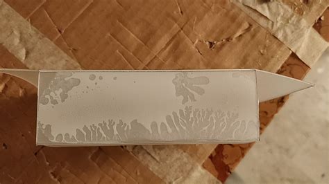 Glue Between Two Translucid Sheets Created A Coral Like Decoration R