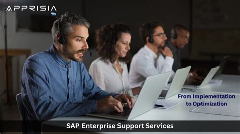 Sap Ams Support Apprisia Consulting Llp