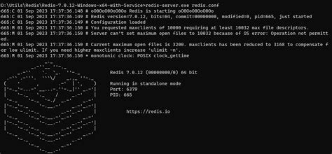 从resp的角度理解事务和管道 resp 协议如何确定已经读取完信息 csdn博客
