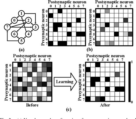 figure 1 from real time neural connectivity inference with presynaptic