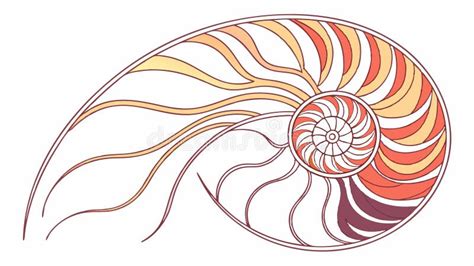 nautilus shell golden ratio fibonacci spiral math in nature and science art vector design