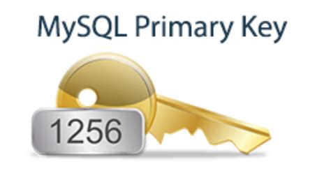 理解mysql数据库主键：从基础概念到实践 Csdn博客