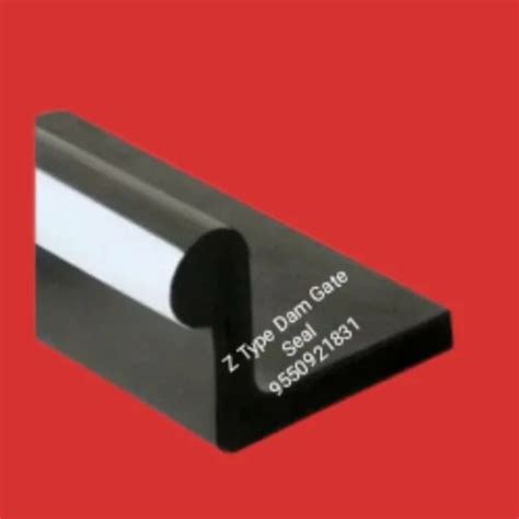 Ptfe Cladding Z Type Dam Gate Seal At ₹ 2500 Meter Dam Gate Seals In Hyderabad Id 2854626918312