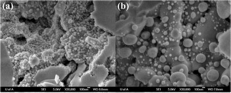 Sem Images Showing The Microstructure Of Infiltrated Porous Ysz Support Download Scientific