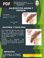 Infografía Colecistitis Aguda Y Crónica Pdf Hígado Medicina Clinica
