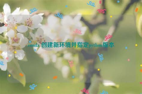 Conda 创建新环境并指定python版本 It文章 陈派导航