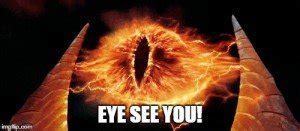 Is There An Evolutionary Advantage To Different Shapes Of Eye Pupils ScienceABC