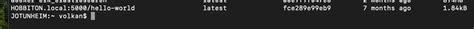 Implementing A Self Hosted Docker Registry On Raspberry Pi Playground