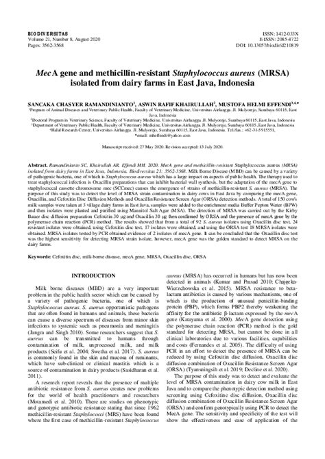 Pdf Meca Gene And Methicillin Resistant Staphylococcus Aureus Mrsa Isolated From Dairy Farms