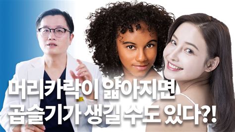 곱슬 반곱슬 직모 사람마다 머리카락이 다르게 자라는 이유 모발이식 탈모 해결사 YouTube